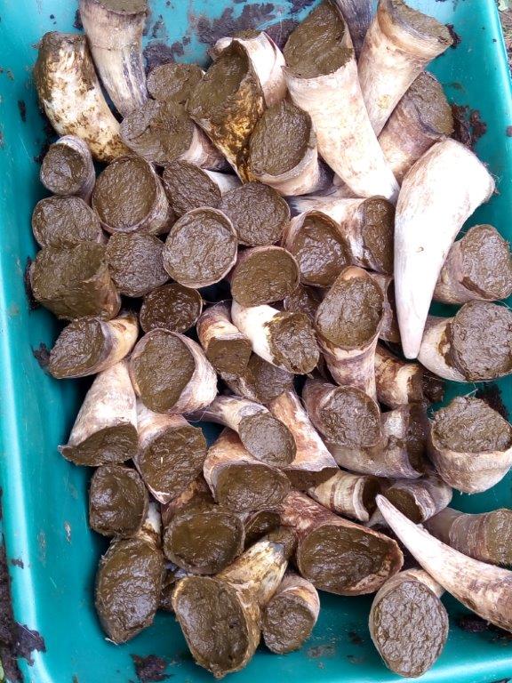 KOLEDAR OPRAVIL V OKTOBRU 2020 - Ajda Goriška